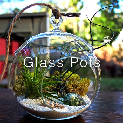 Glass Pots Mybageecha