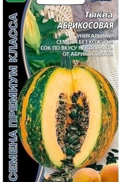 Тыква Абрикосовая. Уникальный ГОЛОСЕМЯННЫЙ сорт. Плод ...