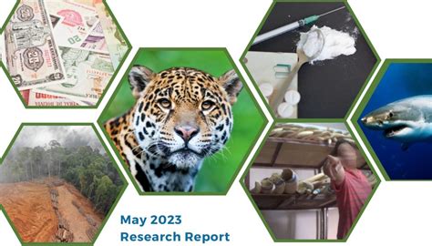 Environmental Crime Convergence