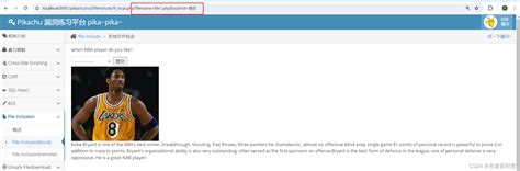 pikachu靶场（file inclusion 文件包含 通关教程） pikachu靶场通关之文件包含 csdn博客