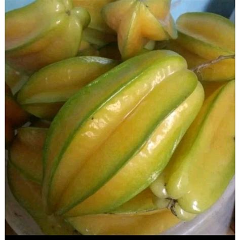 Jual Belimbing Kg Shopee Indonesia
