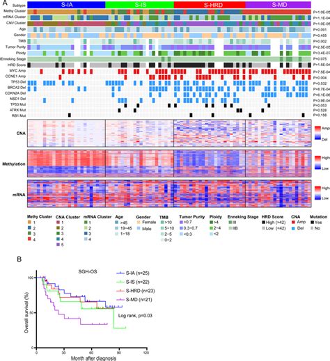 Integrative Subtypes With Distinct Molecular Features And Varied
