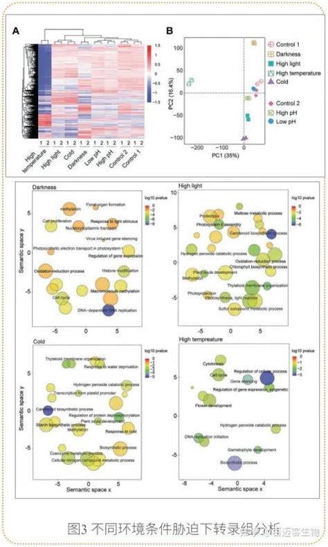 基因组与转录组，深入挖掘基因表达信息 01 知乎