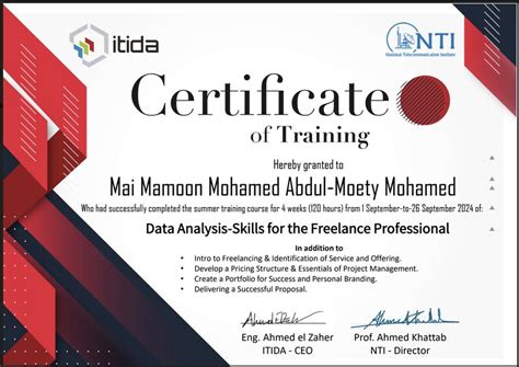 mai mamoon on linkedin dataanalysis excel python tableau powerbi