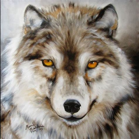 Wolf Amber Eyes By Marcia Baldwin From Wildlife