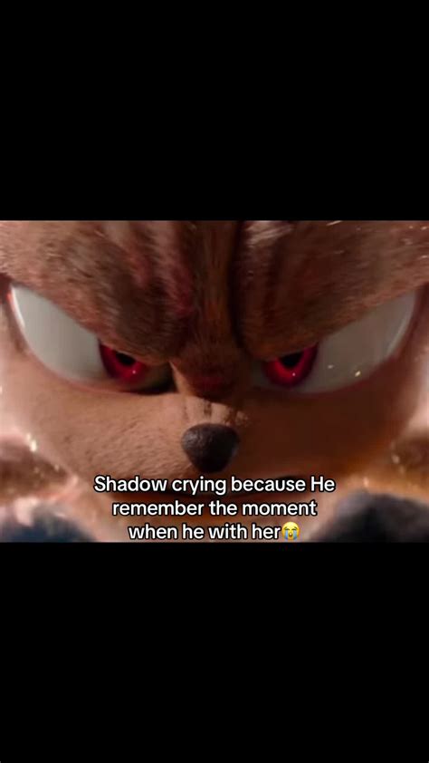 Shadow The Hedgehog Crying