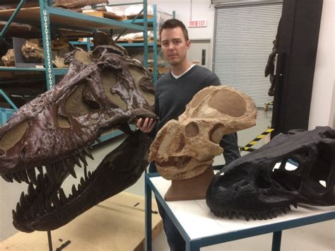 Dinosaur Sex Scientist Says We Dont Know As Much As We Think