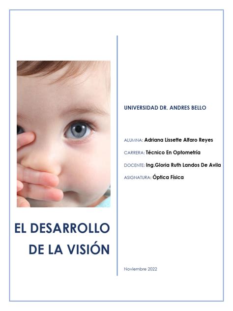 Desarrollo De La Visión Pdf Percepción Visual Ojo Humano