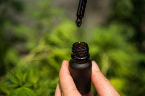 Cbd Para Ansiedade Como Usar Efeitos E Dosagem Correta Cannabis And Saúde