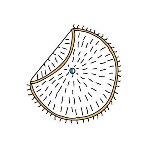 Premium Vector Doodle Beach Round Towel Hand Drawn Icon