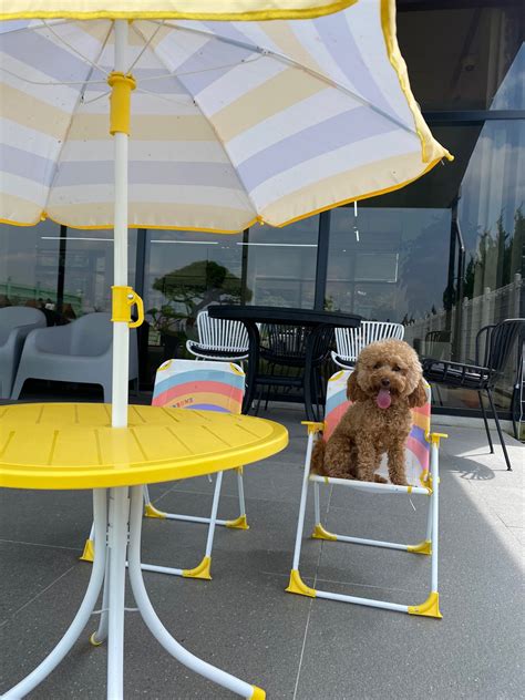 멍디브다녀와서~ 포동 커뮤니티