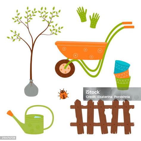 Ein Set Zum Gärtnern Und Pflanzen Von Pflanzen Eine Gartenschubkarre