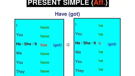 Hướng Dẫn Cách Dùng Have Has Trong Thì Hiện Tại đơn Dễ Hiểu Nhất Du