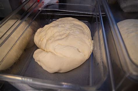 Ball Of Raw Uncooked Swiss Zopf Bread Dough Rising In A Plastic