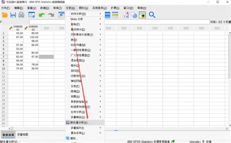 Spss缺失值为0代表什么 Spss缺失值分析出现负数怎么办 Ibm Spss Statistics 中文网站