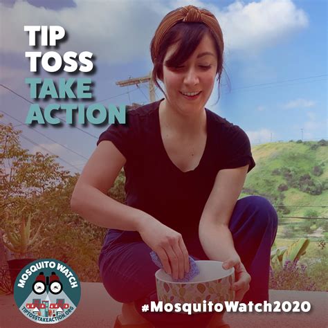 Discover Downey Did You Know The Invasive Aedes Mosquito Facebook