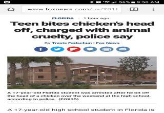 7 WTF Headlines That Can Only Have Come From Florida Funny Gallery