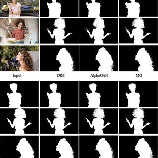 Visual Comparisons With Trimap Fake On PPM Download Scientific Diagram