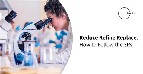 Reduce Refine Replace How To Follow The 3rs