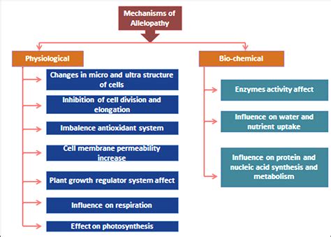Frontiers Allelopathic Potential In Rice A Biochemical Tool For