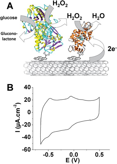 A Schematic Representation Of The Functionalization Of Mwcnt Download Scientific Diagram