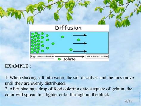 Diffusion Parameters Pptx
