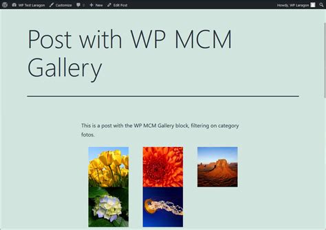 Wp Media Category Management Wordpress Plugin