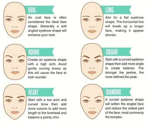 16 Eyebrow Diagrams That Will Explain Everything To You Artofit