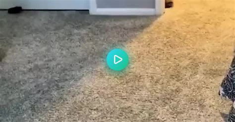 Its Friday Album On Imgur