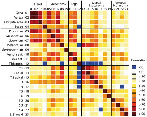 Correlation Between The Colour Variation Of Body Parts Correlation Download Scientific Diagram
