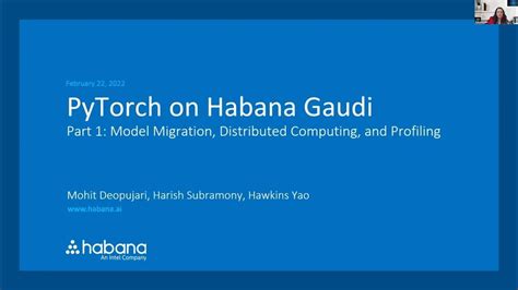 Pytorch On Habana Gaudi Part 1 Model Migration Distributed Training