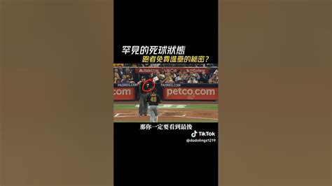 罕見的死球狀態，跑壘免費進壘的秘密？富邦悍將 中信兄弟 統一7 Eleven獅 味全龍 樂天桃猿 台鋼雄鷹cpbl 棒球 死