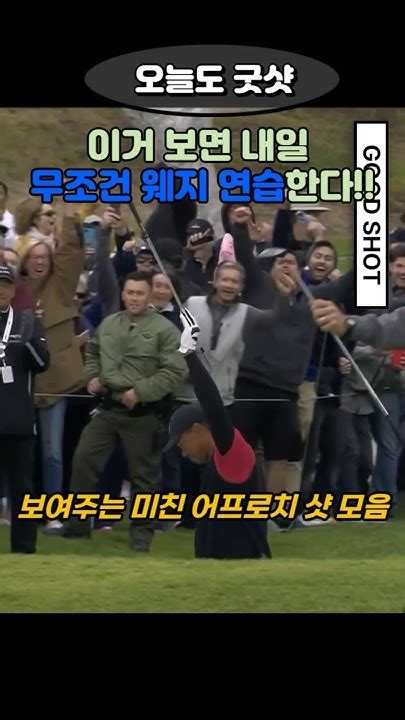황제라고 불리는 사나이 타이거 우즈의 어프로치 샷 모음 Golf Youtube