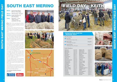 Field Days Merino Sa