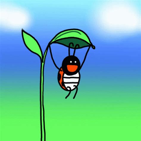 Bug  Bug Discover And Share S