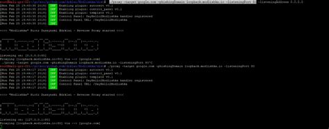 Can T Load The Webpage Help Issue Drk Wi Modlishka Github