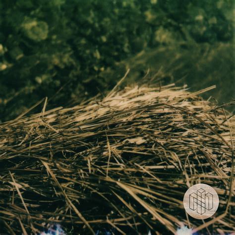 Intimate Noise Samples That Matter