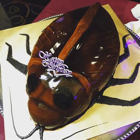 Cockroach Cake Design Images Cockroach Birthday Cake Ideas Cool