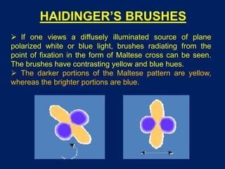 Macular Function Tests Ppt