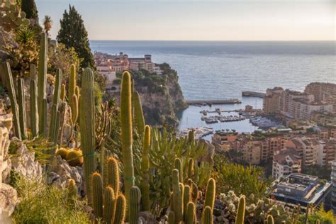 Monaco Districts Which One Is Best For Your Investment Guide To