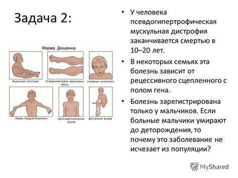 Презентация на тему Генетика пола 2 урок Как называются хромосомы