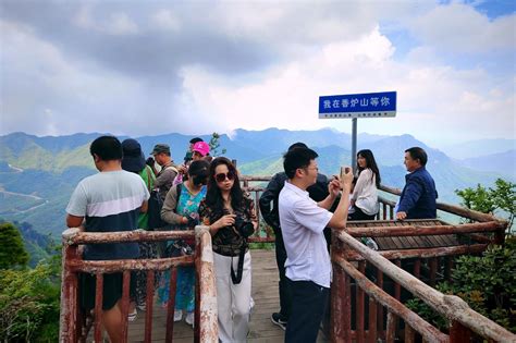 安逸走四川 光雾赏杜鹃 西北片区游客高铁组团赴约巴中光雾山花海 商业 人民交通网