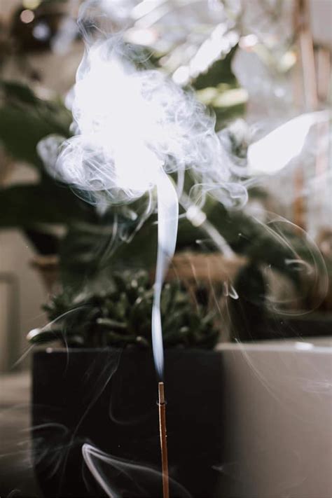 Mock Immorality Artwork Added A Mock Immorality Artwork