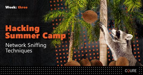 Hacking Summer Camp Network Sniffing Techniques Cqure Academy