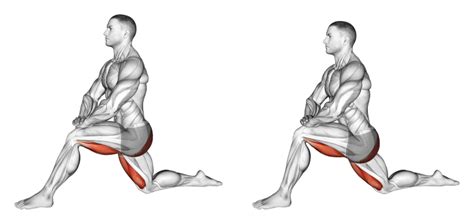 Kneeling Lunge Stretch Exercise Overview Muscles Worked And More