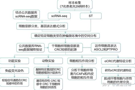 单细胞转录组 空间转录组联合应用，1 1 2 知乎