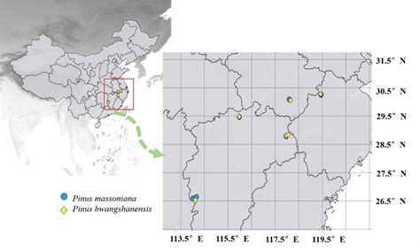 Distribution Of The Sampling Points Blue Icons Stand For P Download Scientific Diagram