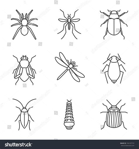 Bugs Line Art Images Stock Photos Vectors Shutterstock