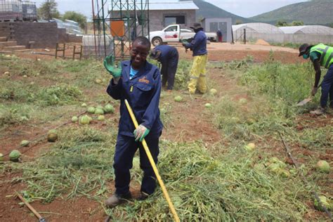 Community Commitment And Inclusion Ndlovu Farm As A Role Model For