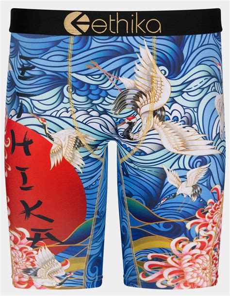 Ethika Mens Underwear Tillys